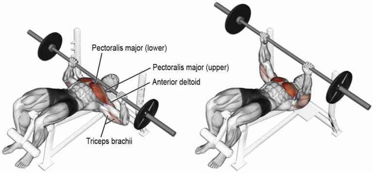 Bench Press Nasıl yapılır? Faydaları Nelerdir
