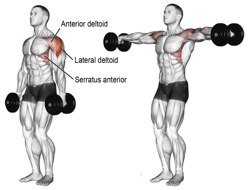 Lateral Raise Nas l Yap l r Faydalar Nelerdir Lateral Raise Nas l Yap l r Faydalar Nelerdir